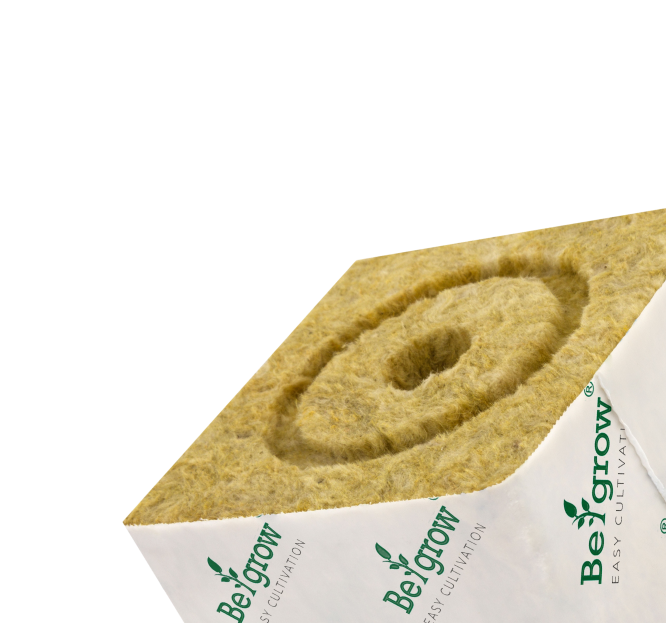 Stone wool cube – Begrow